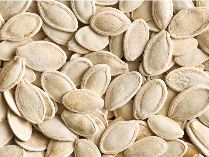 Cucurbita seeds - Part 4 of seed saving series | Seeds For Africa