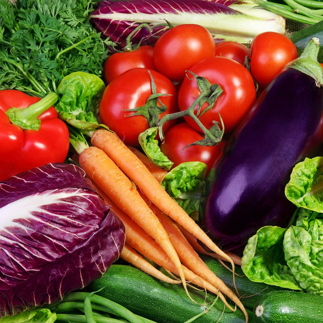 Certified Organic Seed Range | Seeds For Africa