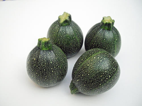Round Zucchini Seeds | Seeds for Africa