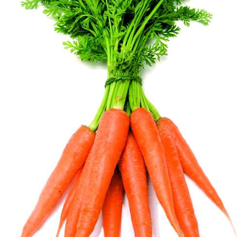 Cape Market Carrot Seeds | Seeds for Africa