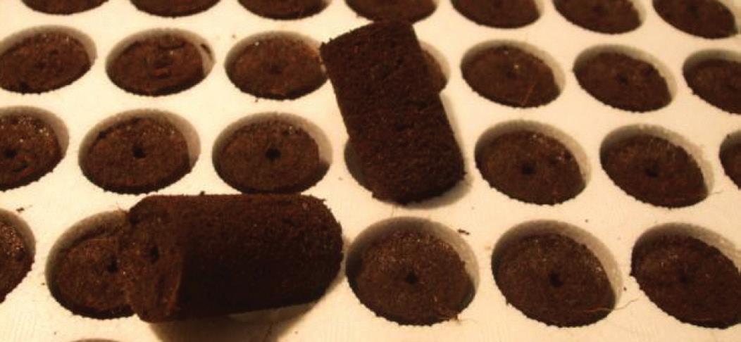 Jiffy Preforma Box Plugs 30mm x 50mm | Hydroponic | Seeds For Africa